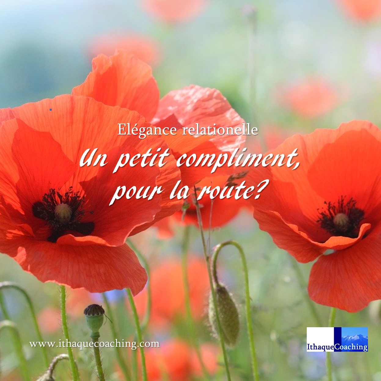 Un petit compliment, pour la route? | Ithaque Coaching