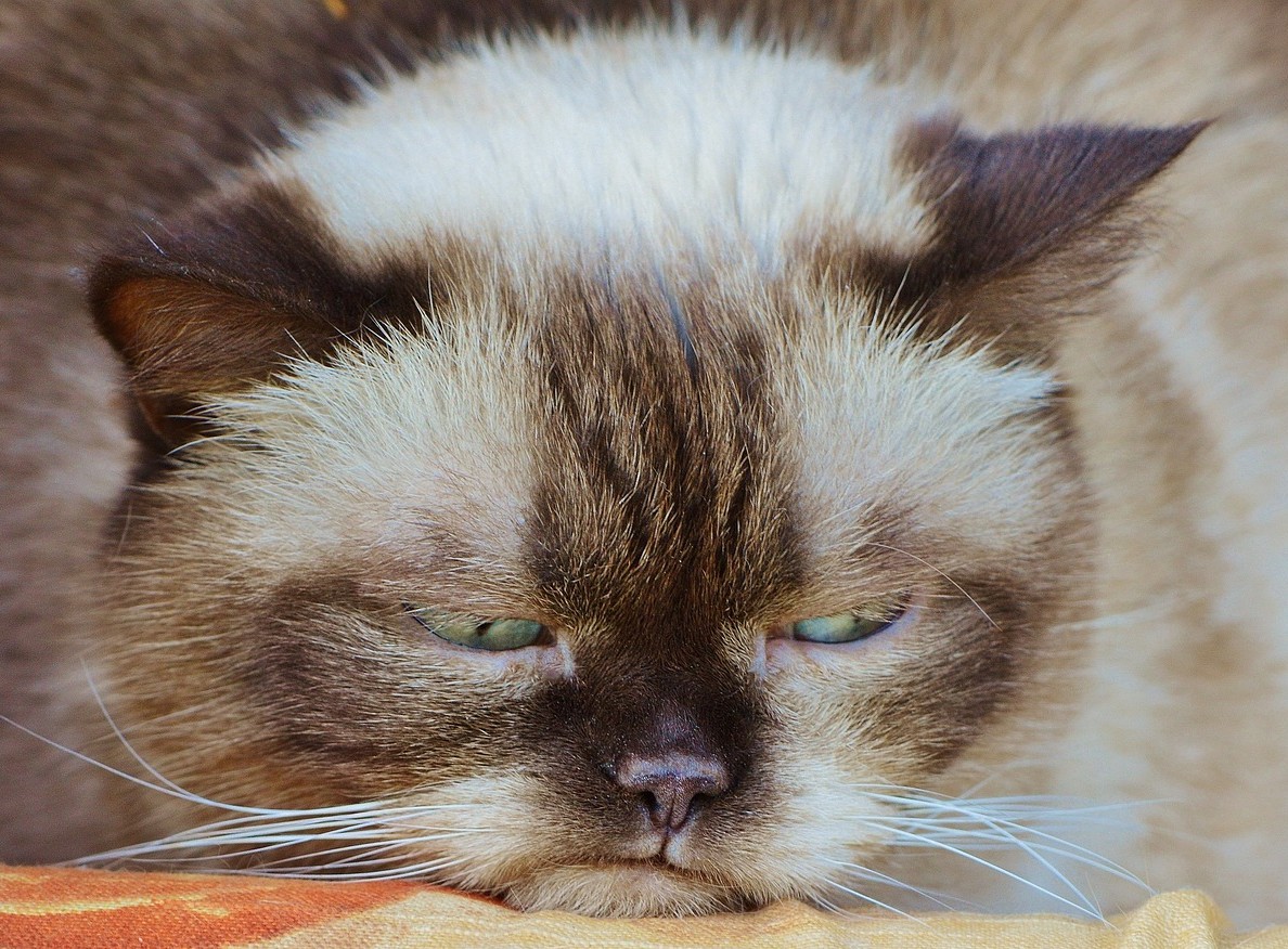 Relations: silence, on boude! | Ithaque Coaching