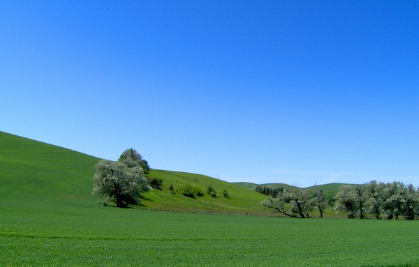 8 techniques simples pour prendre du recul pendant l'été | Ithaque Coaching