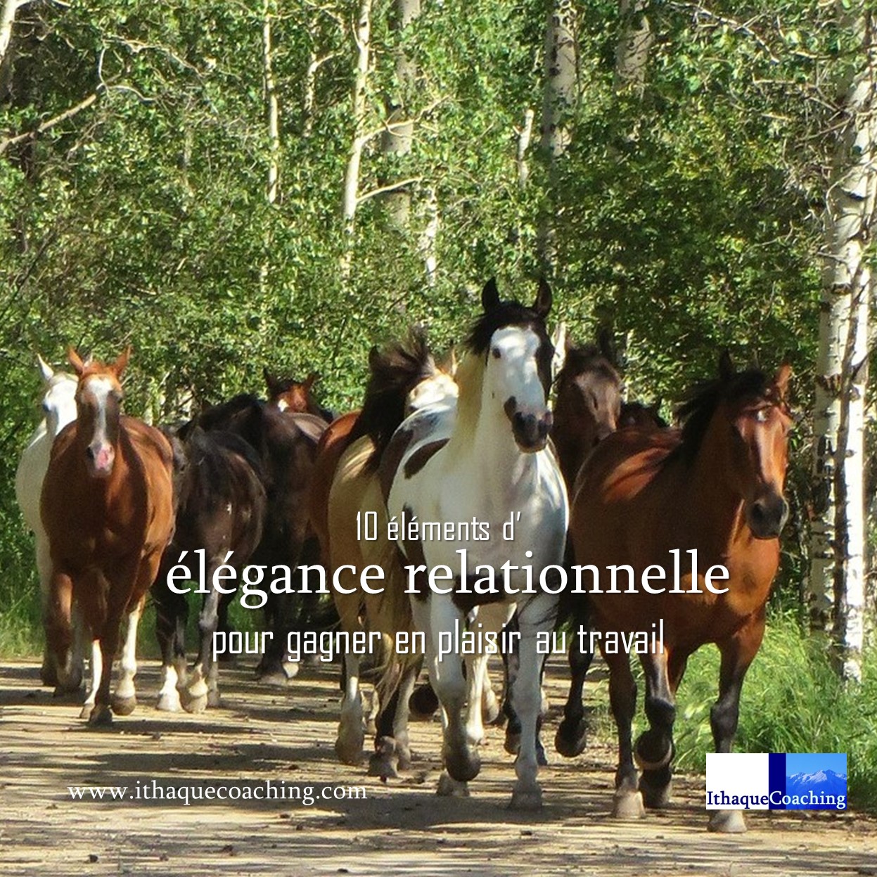 10 éléments d’élégance relationnelle pour gagner en plaisir au travail ...