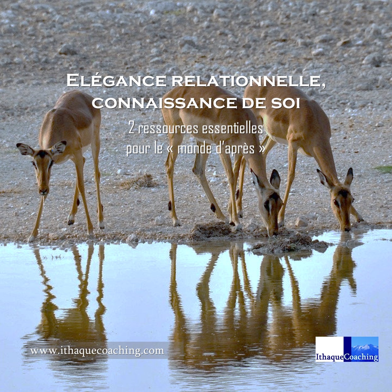 Élégance relationnelle et connaissance de soi, ressources essentielles ...